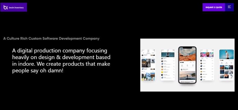 Brain Inventory: Custom Software Development Company | TSI